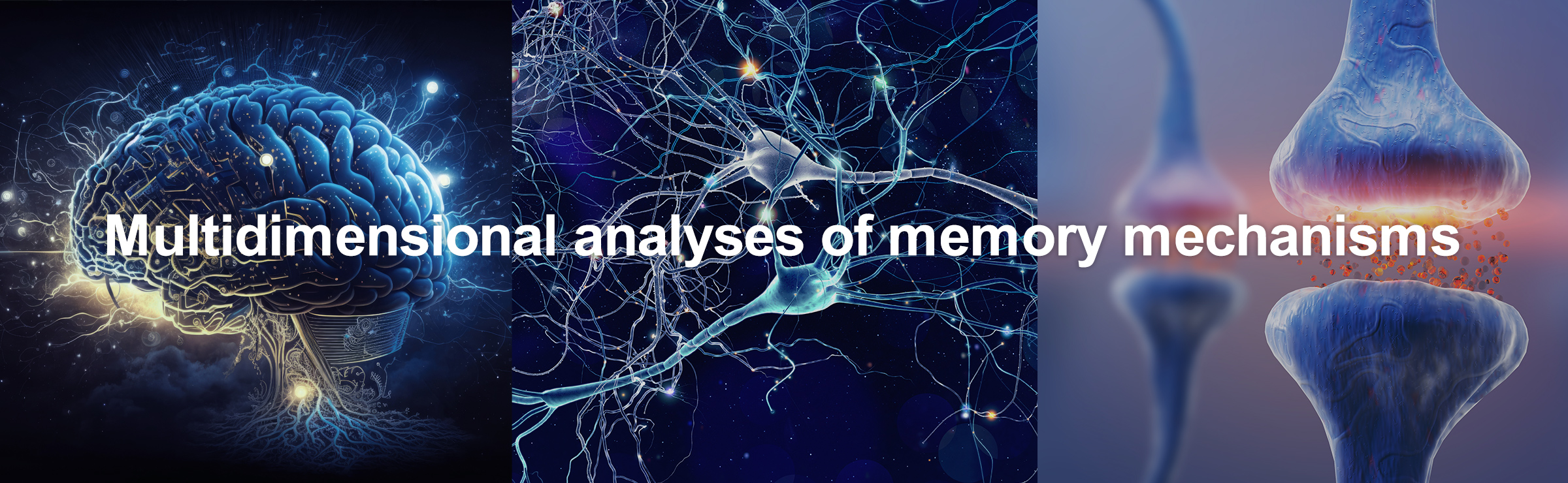 Home | Multidimensional analysis of memory mechanisms - from nm to ...