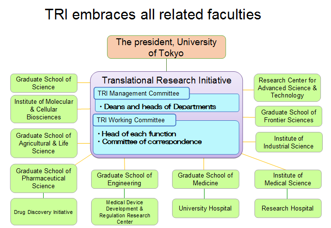About TR Initiative│Translational Research Initiative, The University ...